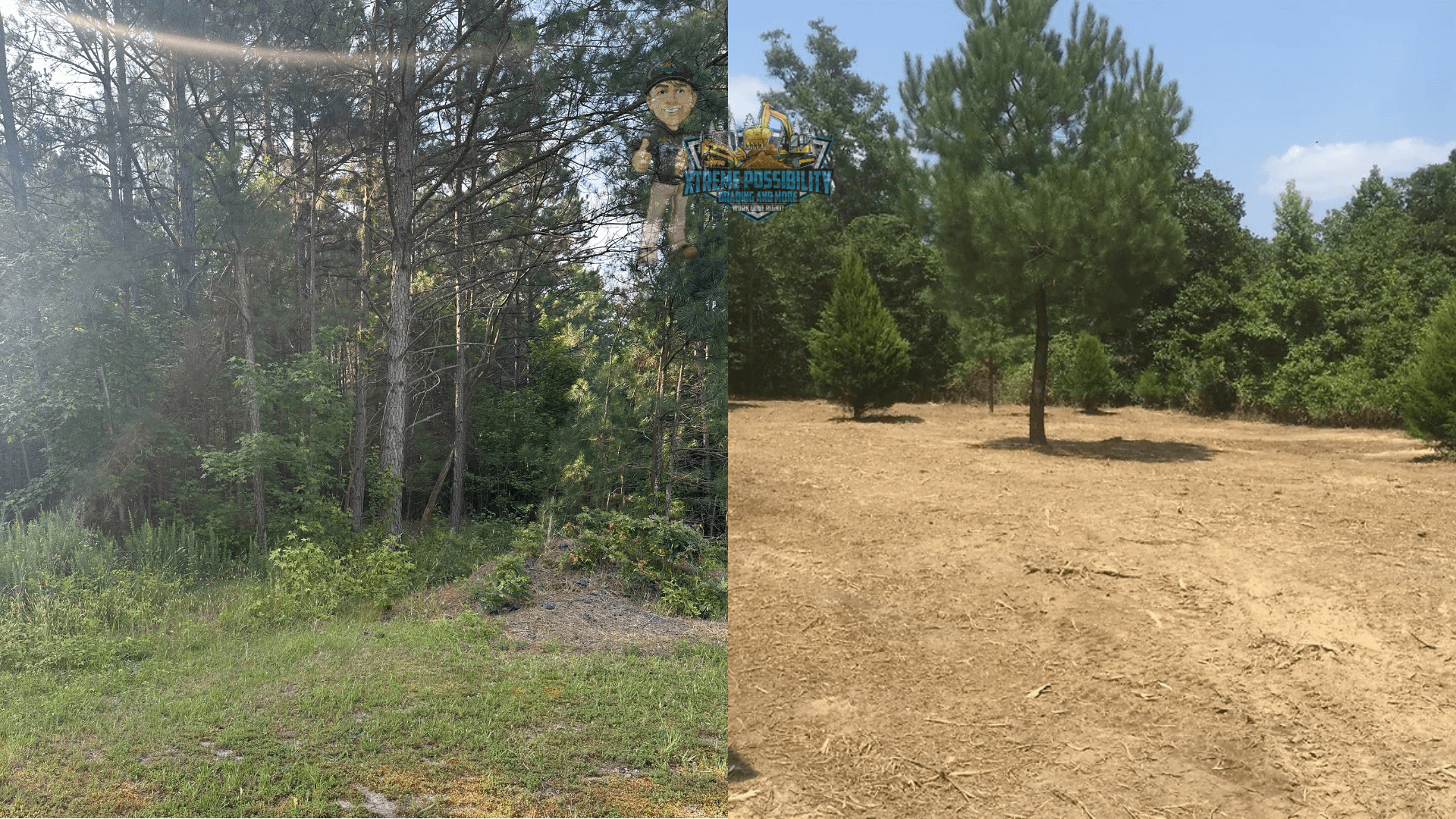 Woodline Clean-Up Services Using Drum Mulcher Technology – Xtreme ...